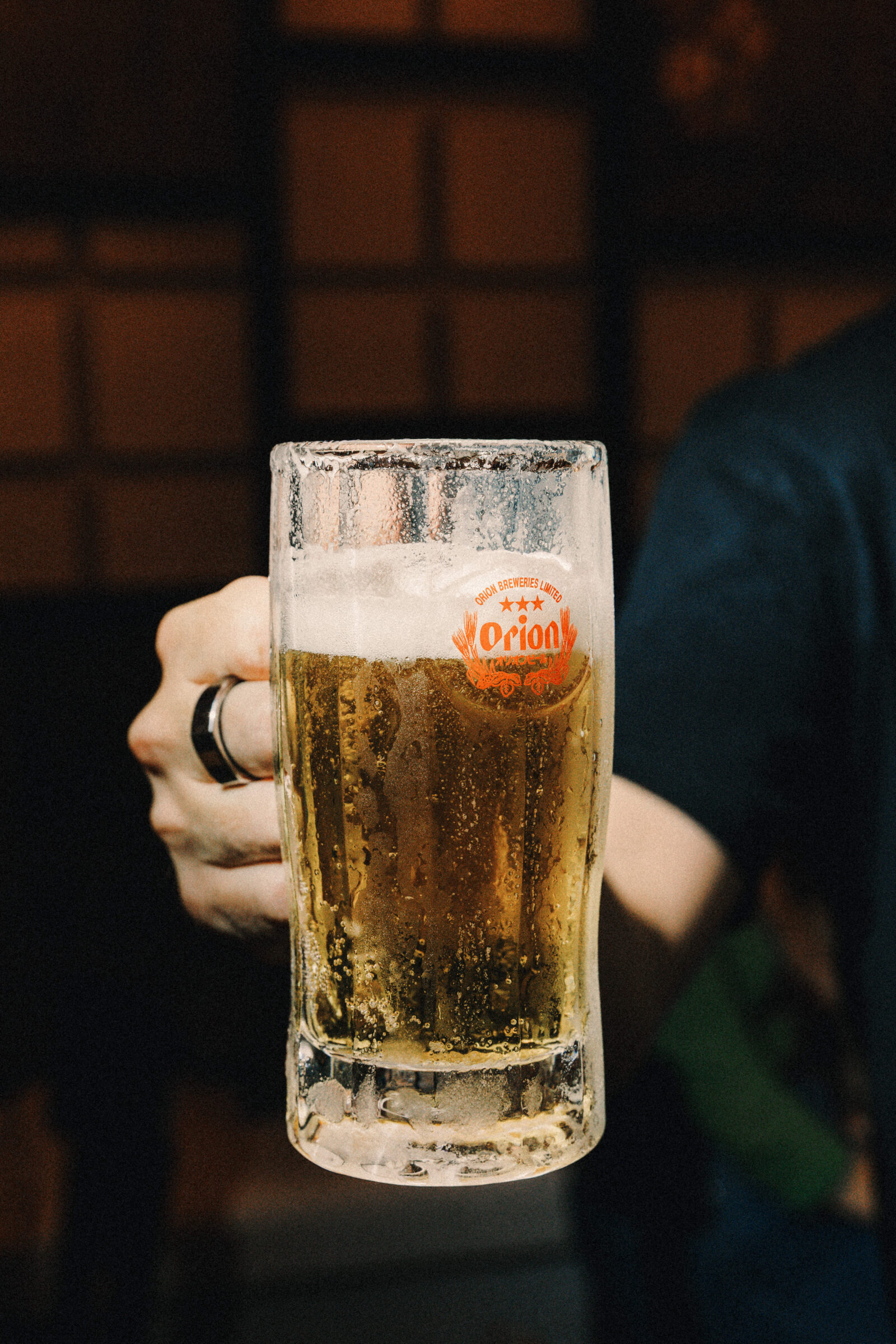 Newcastle's Authentic Japanese Izakaya - Susuru